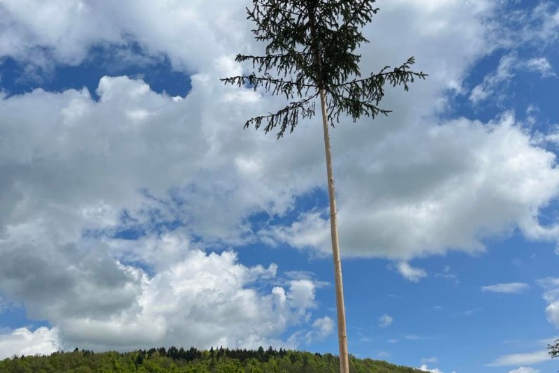 Mlaj za prvi maj na Jami - Suhokranjske novice